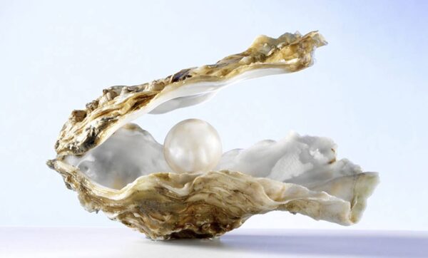 bahrain-pearl - Danat