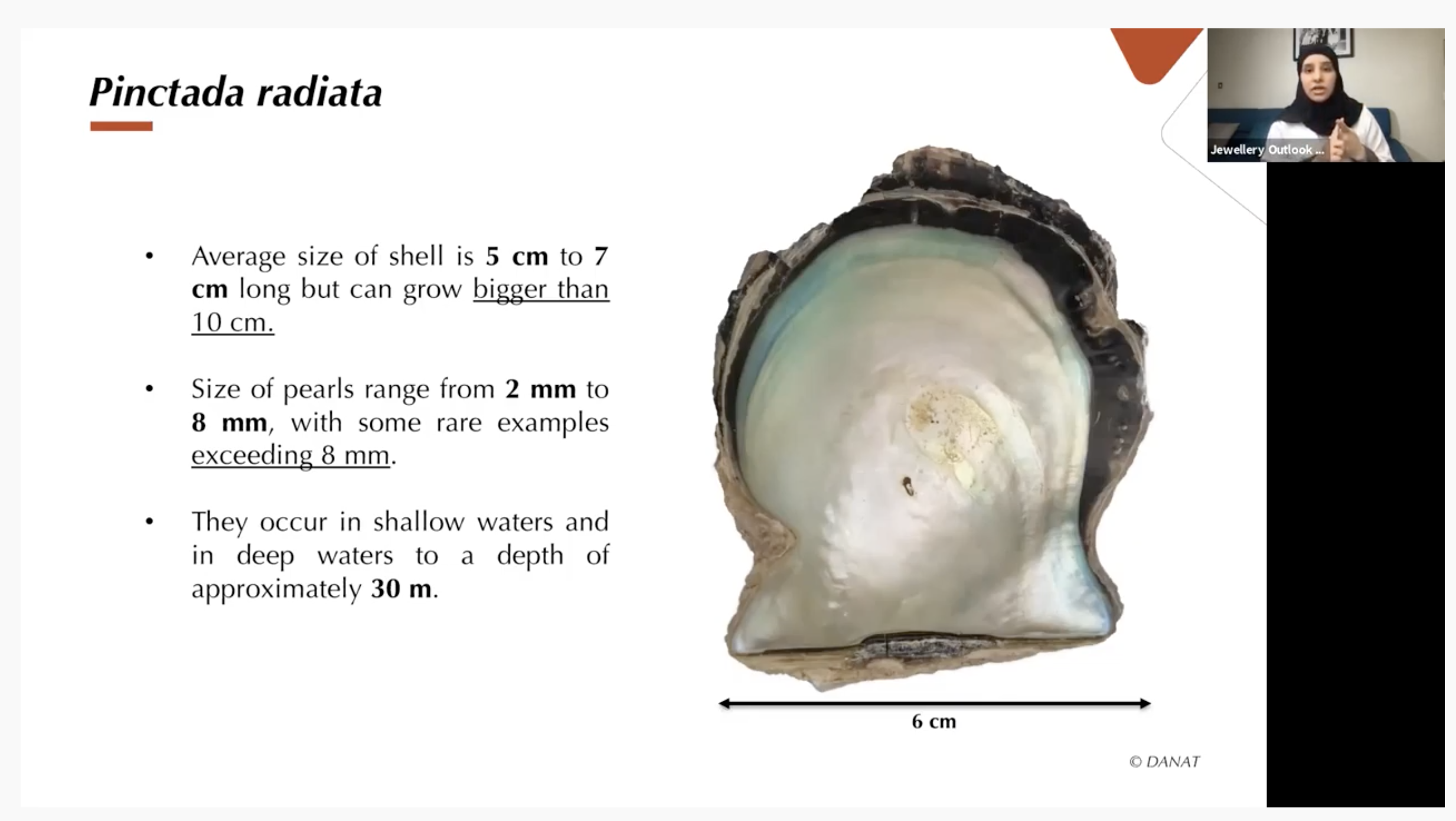 DANAT Organizes Webinars about Pearls and Gemstones - Danat